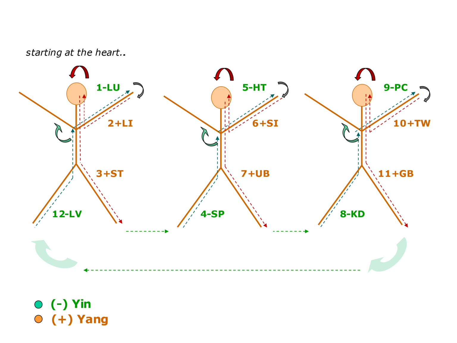 Traditional Chinese Medicine: 12 meridian channels