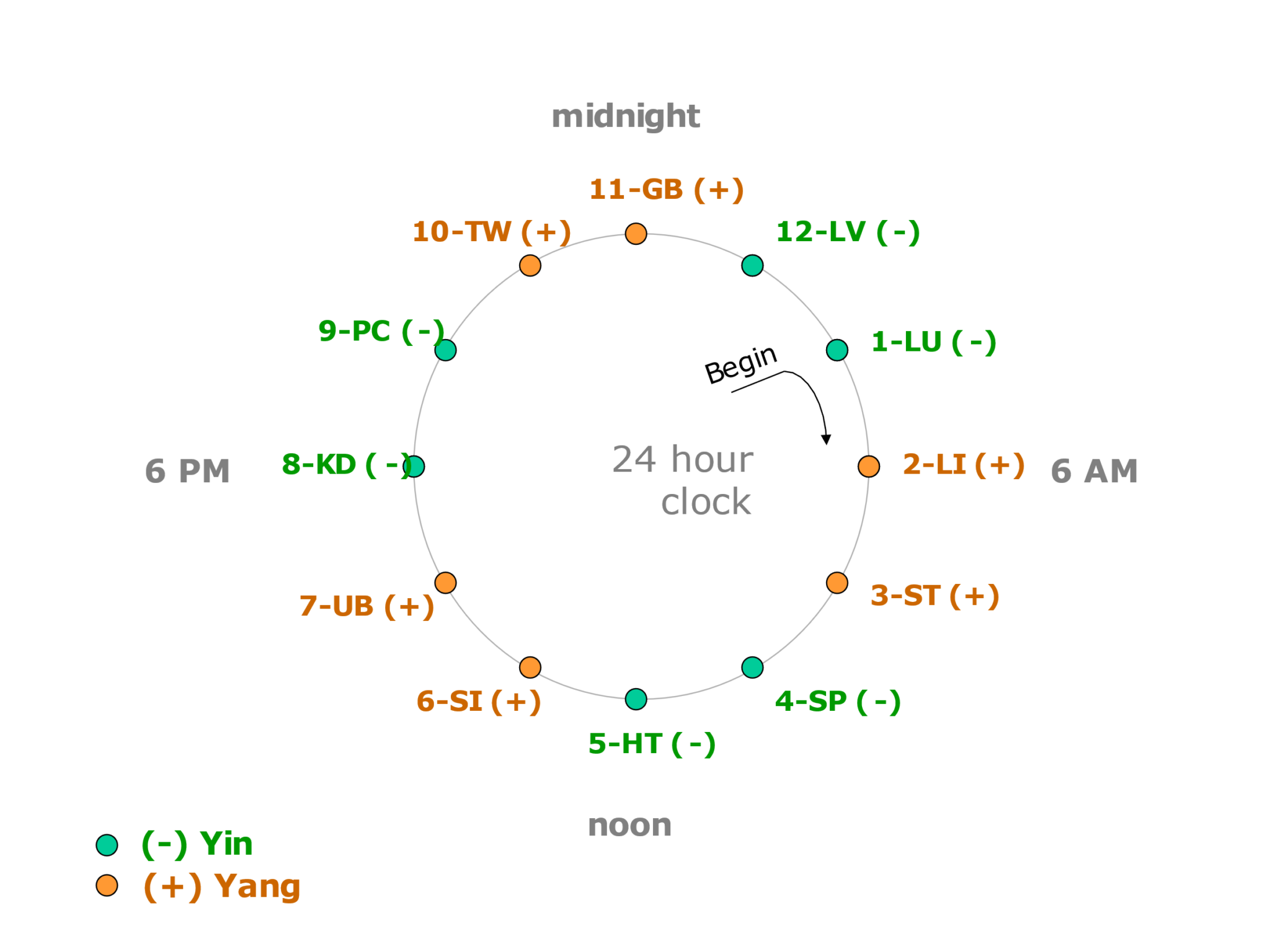 Traditional Chinese Medicine: 12 meridian channels
