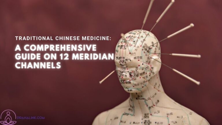 Traditional Chinese Medicine: 12 meridian channels