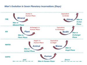 Secrets of Our 7 types of Bodies