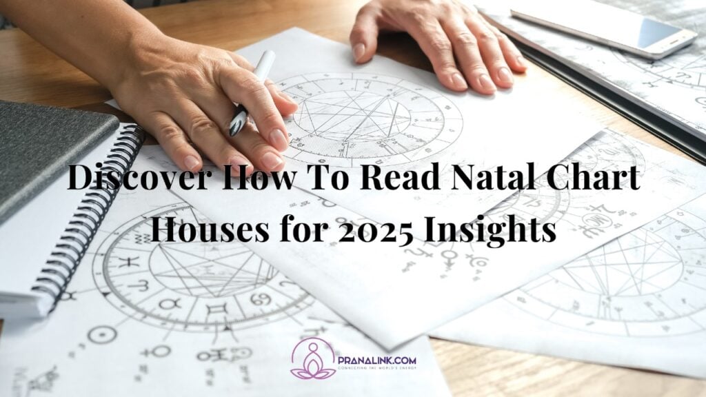 How to Read Natal Chart Houses for 2025 | Pranalink